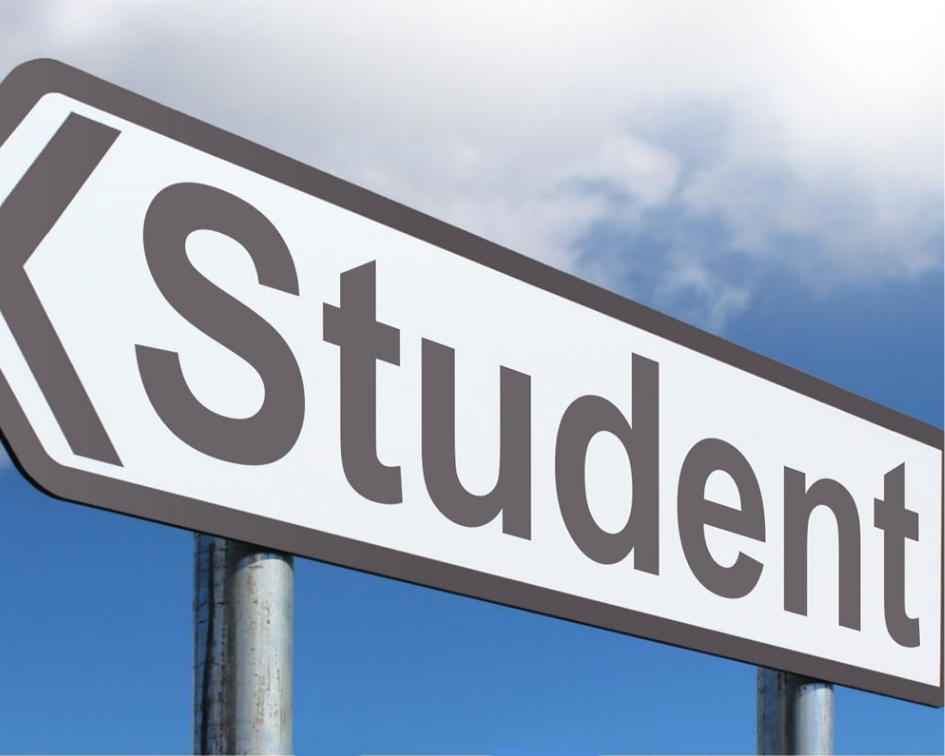 Test Page -Sarah | p12 division